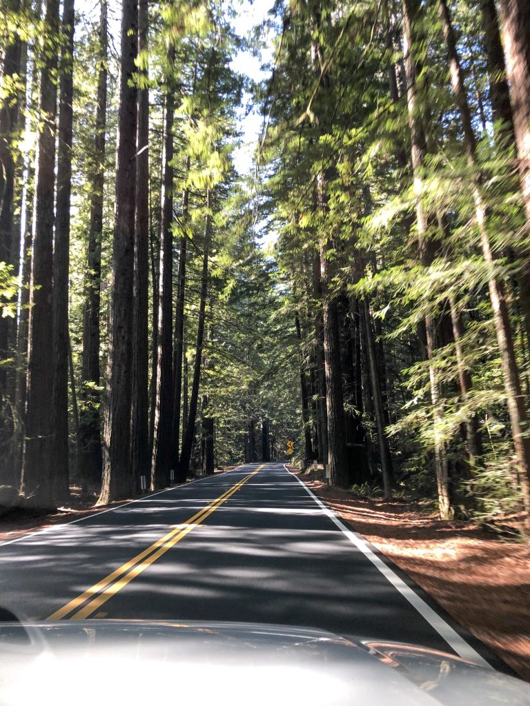 Mini Guide to Mendocino - The Urben Life