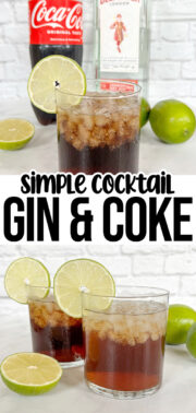 Best Gin and Coke Recipe (Easy Cocktail!) - The Urben Life